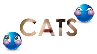 Cats' Fascinating Behaviors | PPT