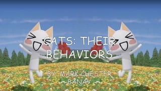 Cats' Fascinating Behaviors | PPT