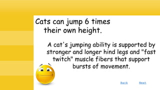 Cats' Fascinating Behaviors | PDF