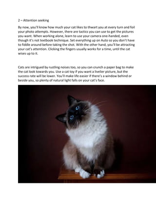Cats photography | PDF