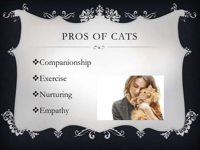 Cats Powerpoint | PPTX