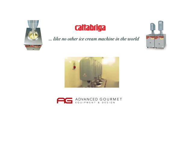 Cattabriga USA EFFE Presentation | PPT