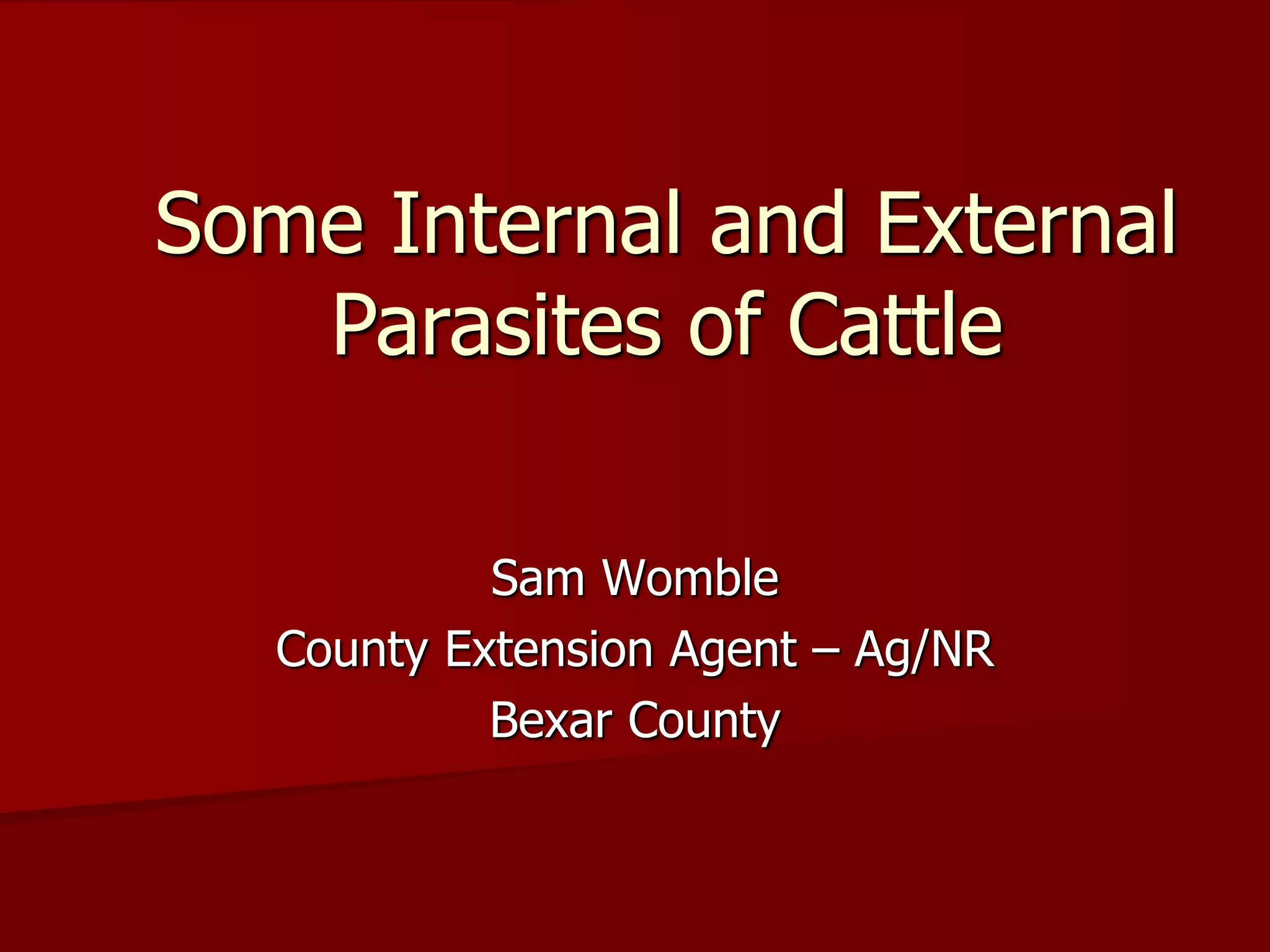 Cattle-Parasites.ppt