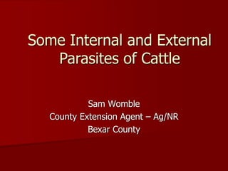 Cattle-Parasites.ppt