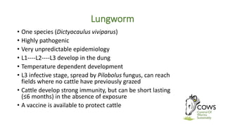 Cattle-Parasites-and-their-Control-Lecturers-PkA2015Final1.pdf