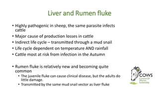 Cattle-Parasites-and-their-Control-Lecturers-PkA2015Final1.pdf