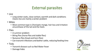 Cattle-Parasites-and-their-Control-Lecturers-PkA2015Final1.pdf