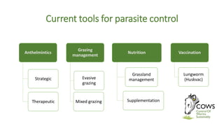 Cattle-Parasites-and-their-Control-Lecturers-PkA2015Final1.pdf