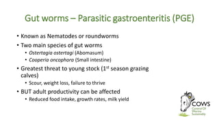 Cattle-Parasites-and-their-Control-Lecturers-PkA2015Final1.pdf