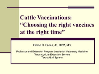 Cattle Vaccination Chart