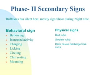 Estrus Cycle In Buffaloes | PPTX