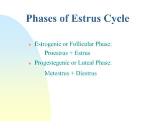 Estrus Cycle In Buffaloes | PPTX