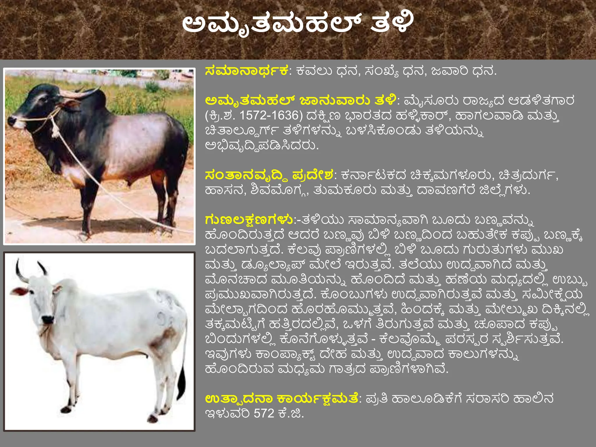 cattle and buffalo breeds of karnataka.pptx