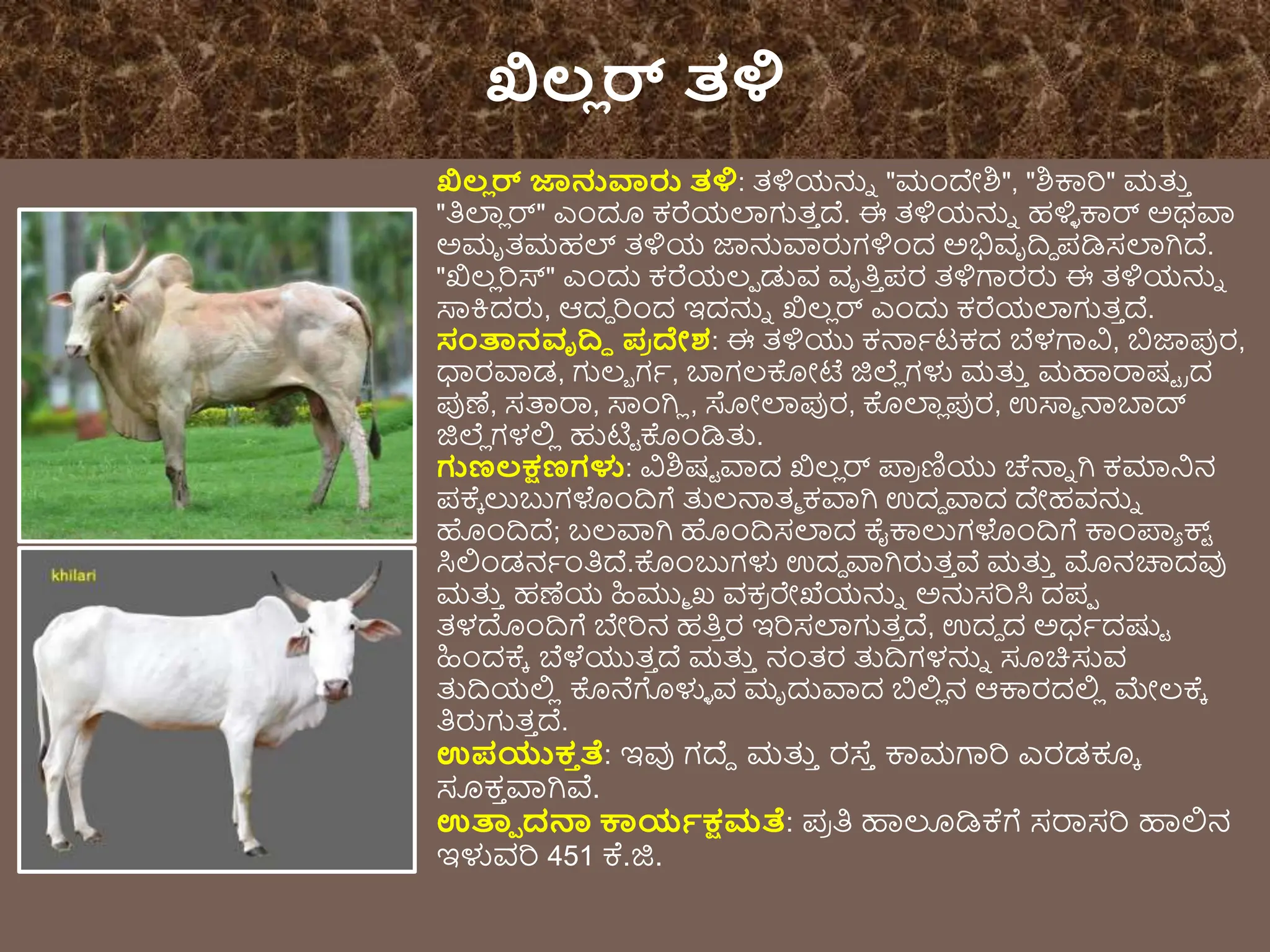cattle and buffalo breeds of karnataka.pptx