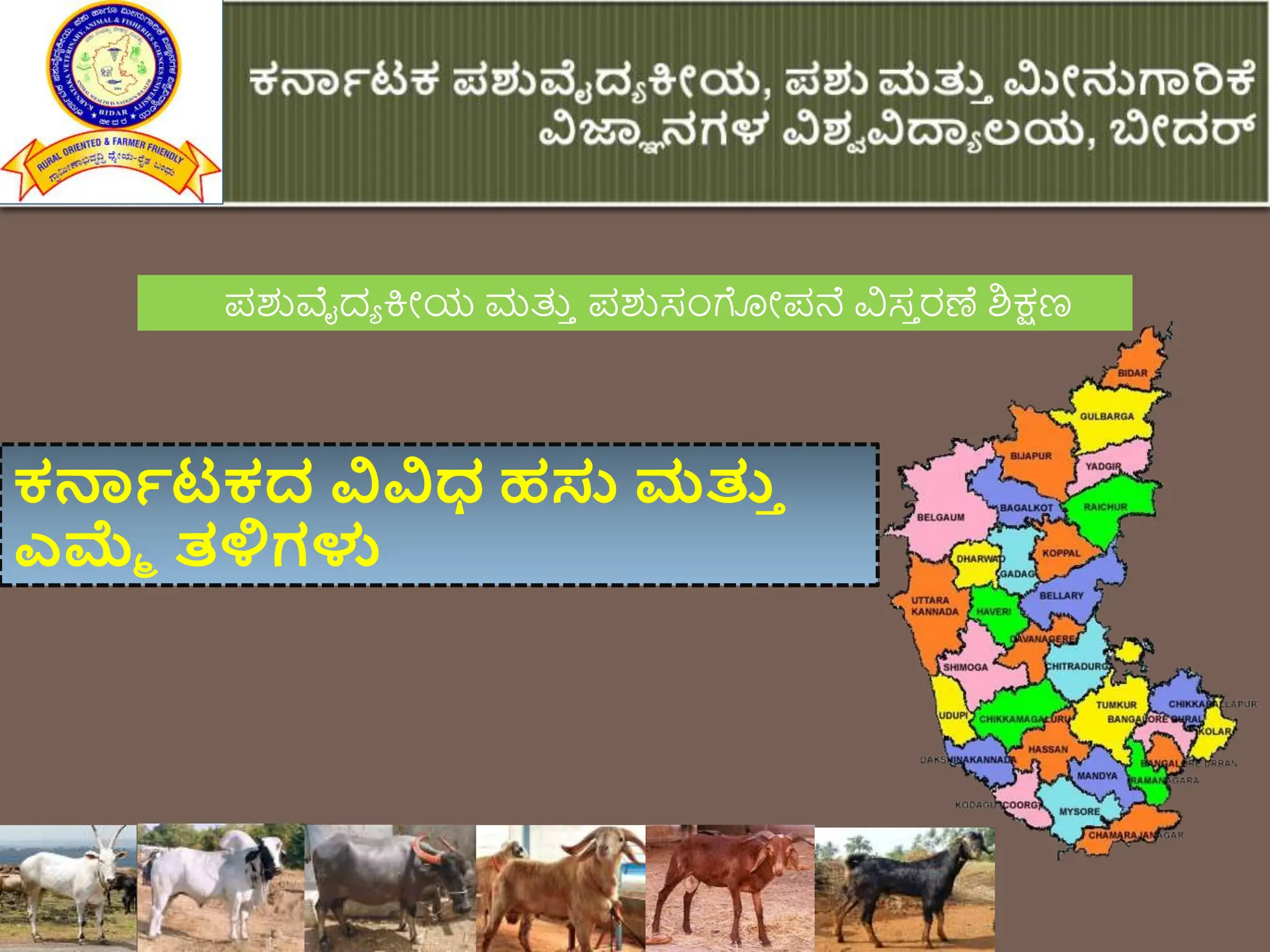 cattle and buffalo breeds of karnataka.pptx