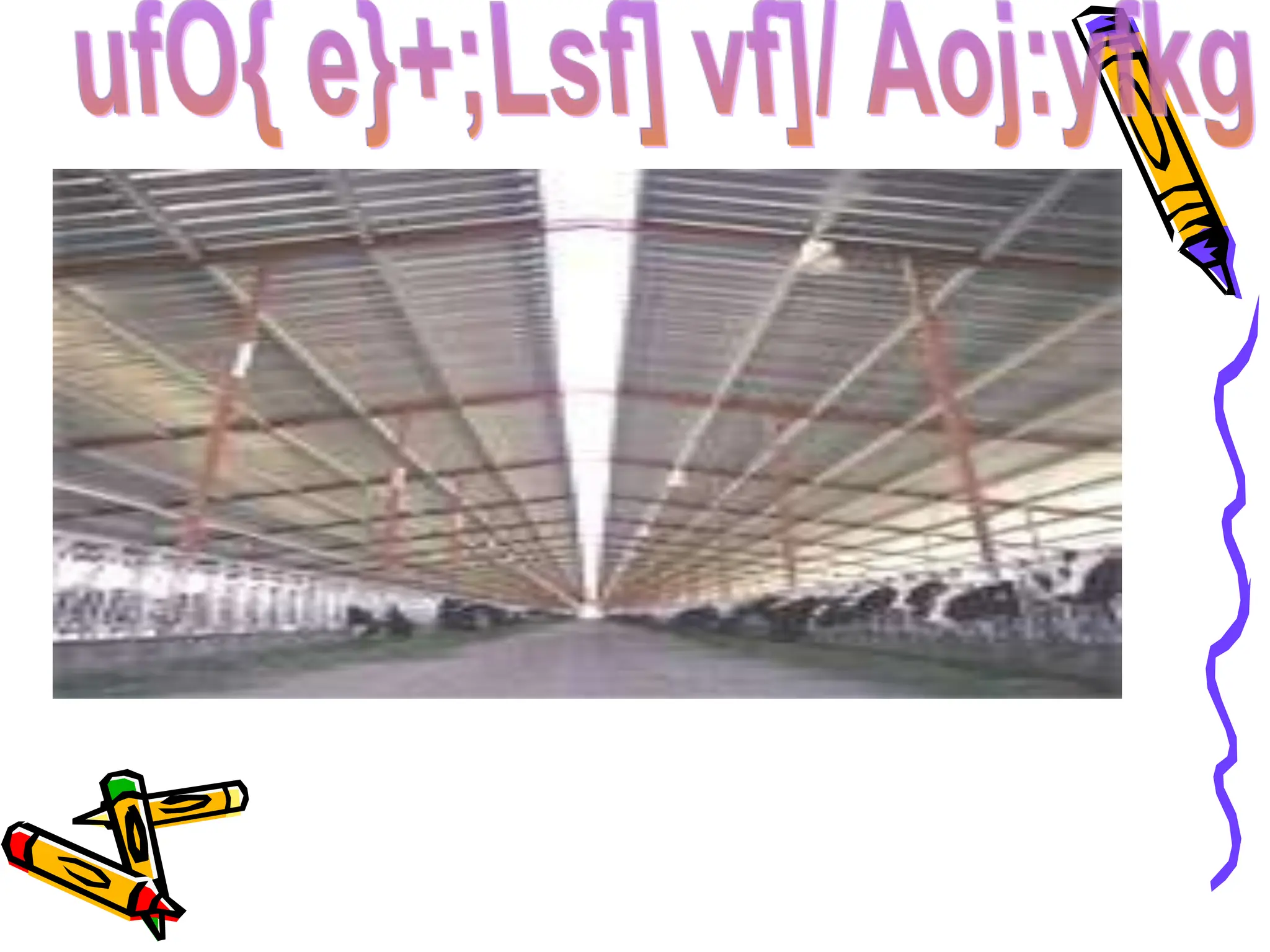 cattle and buffalo shed manbnz xagement.ppt