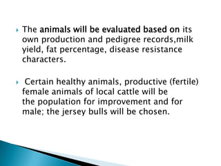 community based cattle breeding plan in Nepal | PPTX