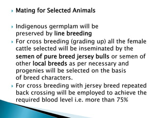 community based cattle breeding plan in Nepal | PPTX