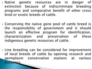community based cattle breeding plan in Nepal | PPTX