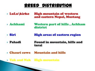 community based cattle breeding plan in Nepal | PPTX