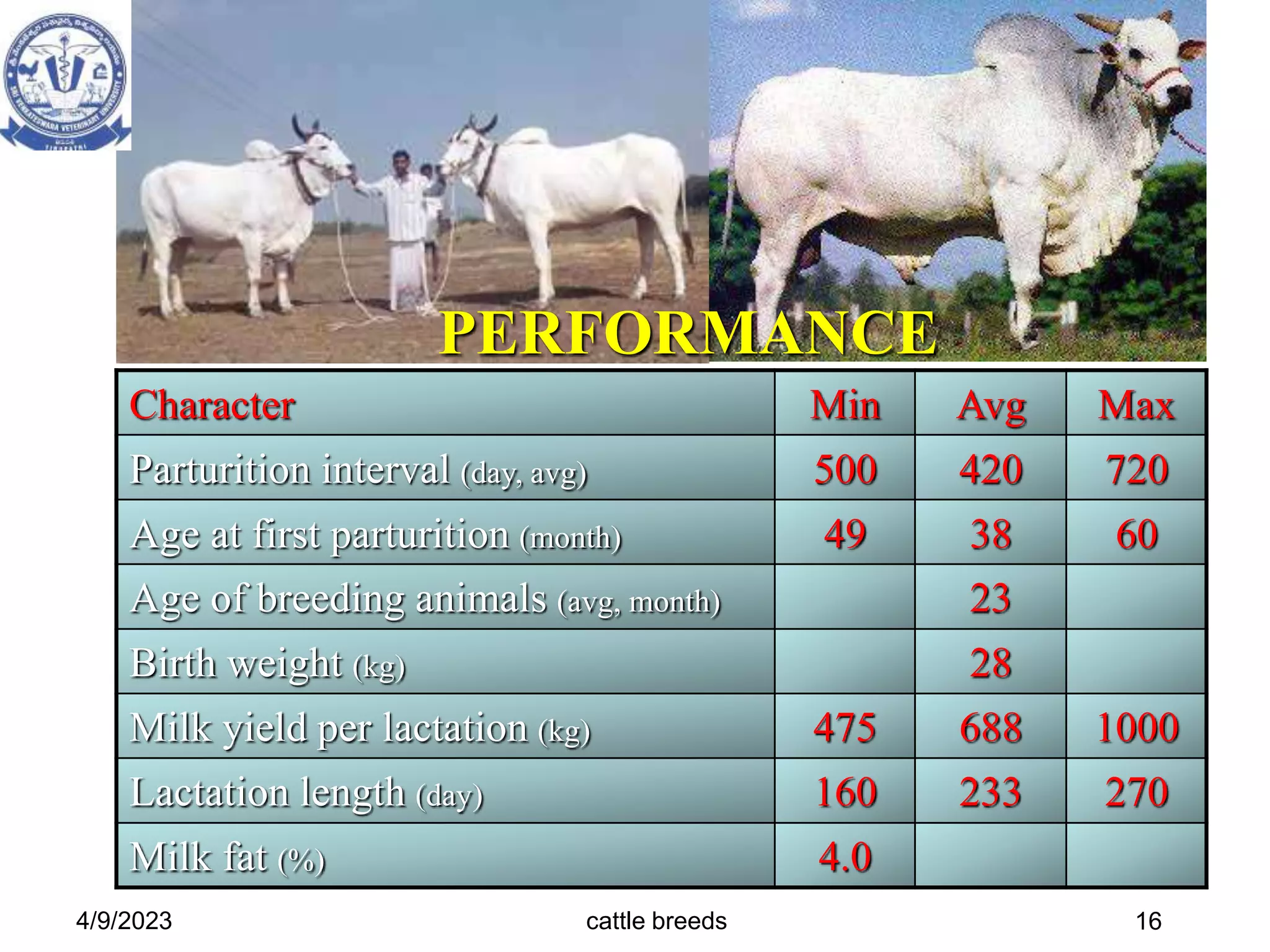 Cattle Breeds LPM.ppt
