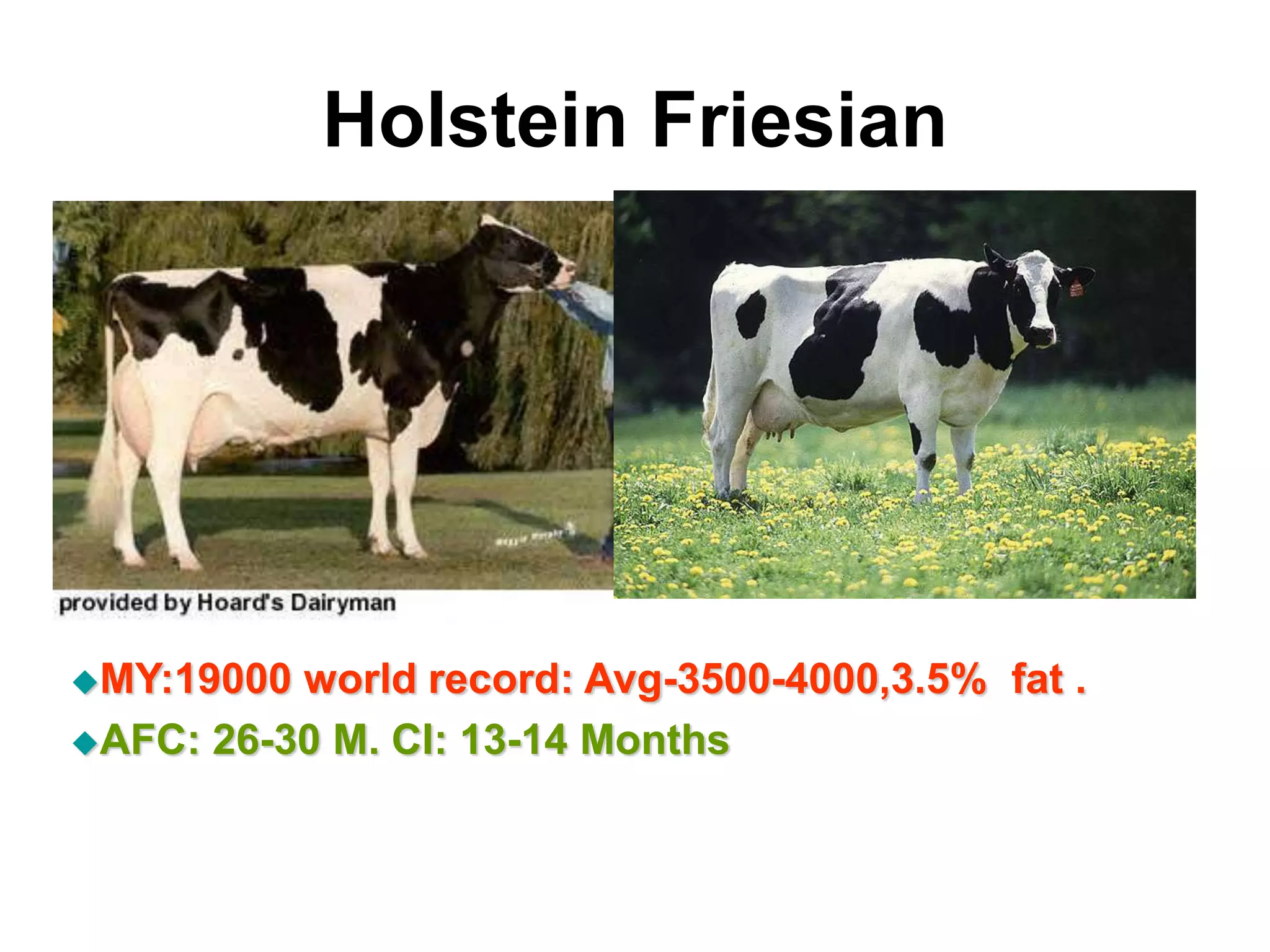 Cattle Breeds LPM.ppt