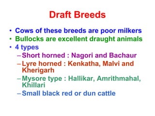 Cattle Breeds LPM.ppt