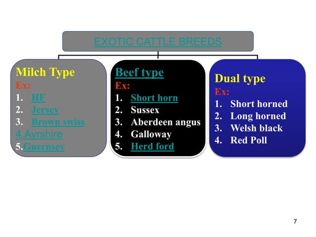 Cattle Breeds LPM.ppt