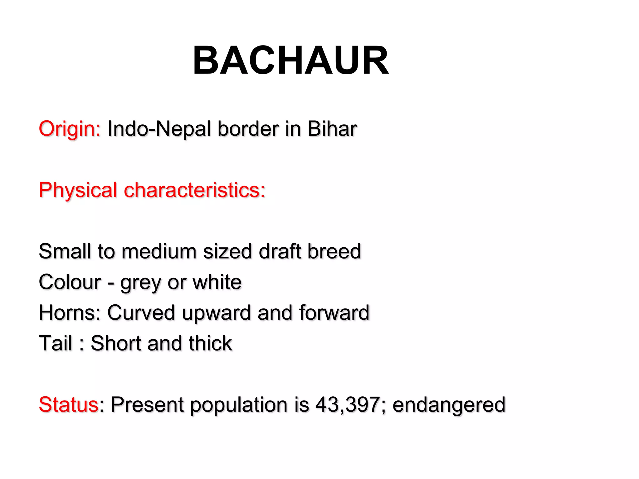 Cattle breeds of India B.Sunil Kumar | PPT