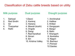 Cattle breeds of India B.Sunil Kumar | PPT