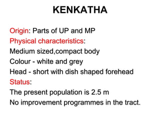 Cattle breeds of India B.Sunil Kumar | PPT