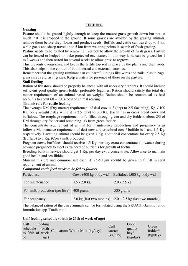 Cattle buffalo | PDF | Large Animals | Pets