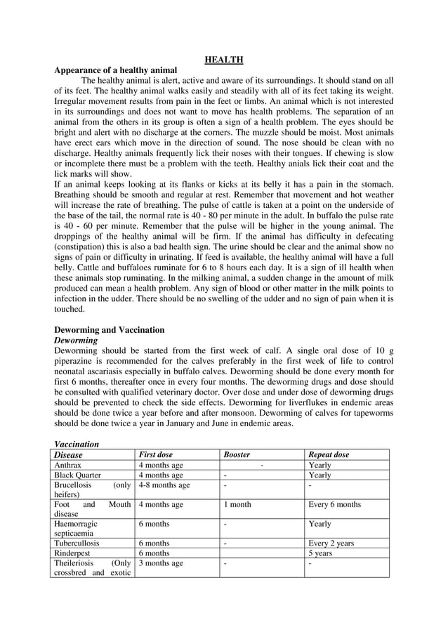 Cattle buffalo | PDF | Large Animals | Pets