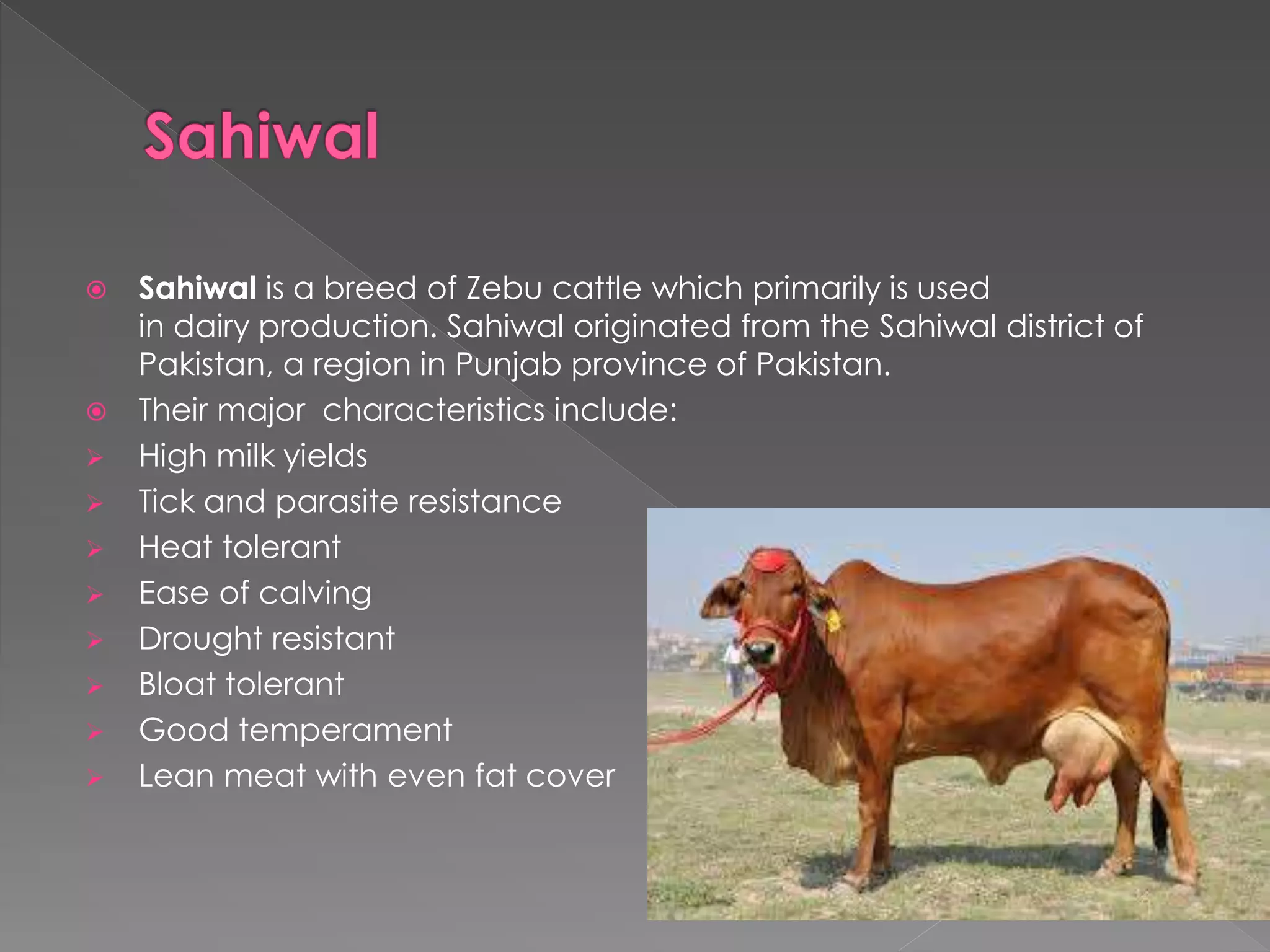 Cattle farming | PPTX