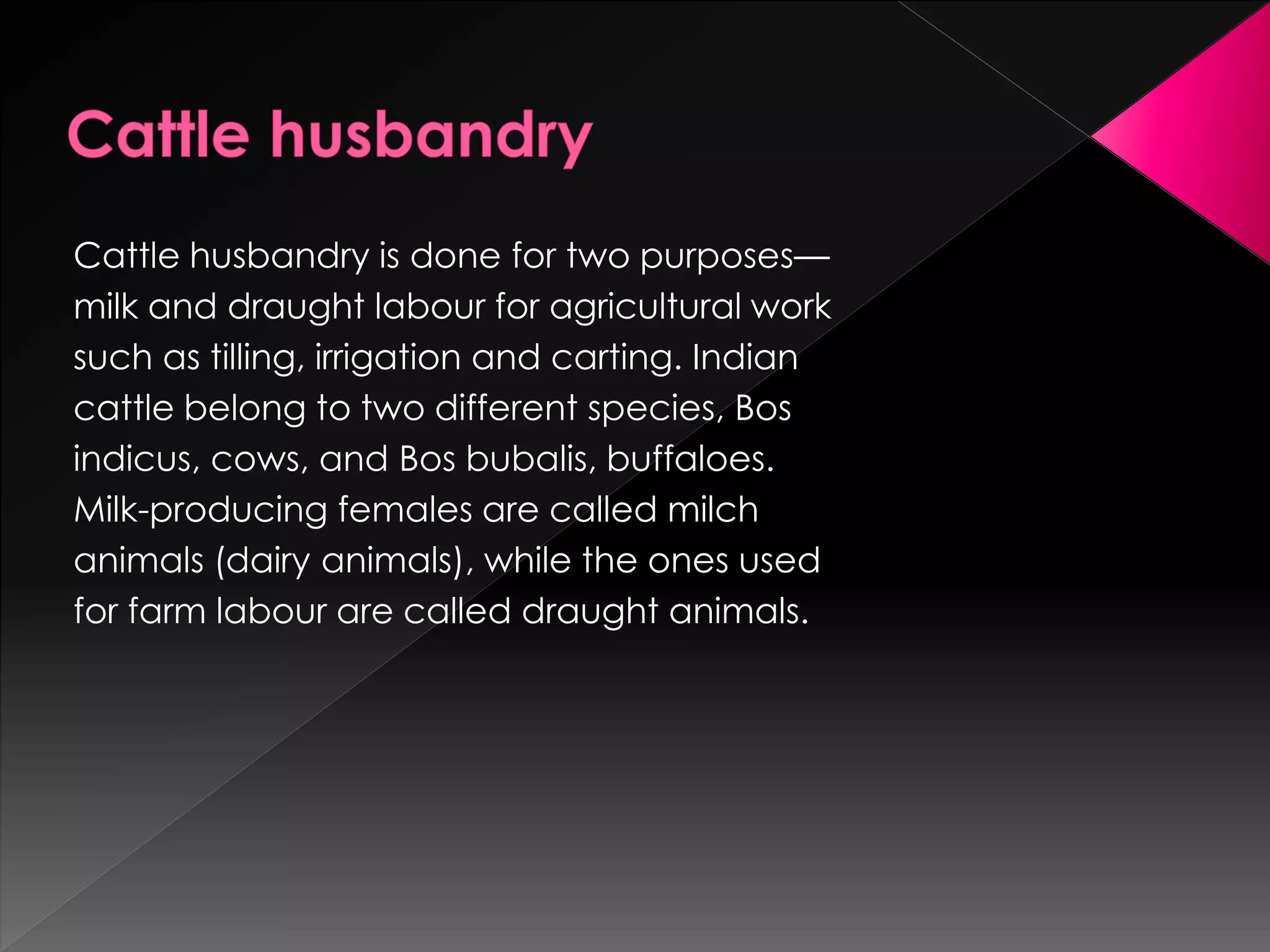 Cattle farming | PPTX