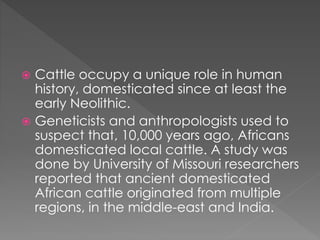 Cattle farming | PPTX