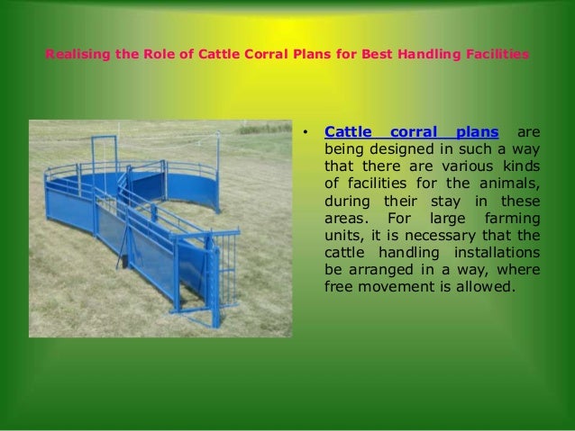 Cattle Corral Designs Layouts