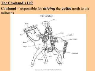 Cattle cowboys and railroads | PPT