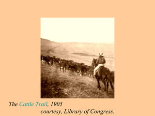 Cattle cowboys and railroads | PPT