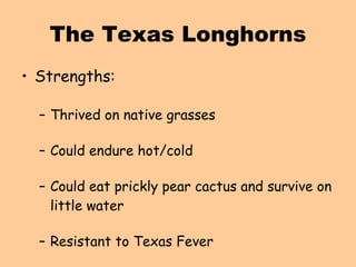 Cattle cowboys and railroads | PPT