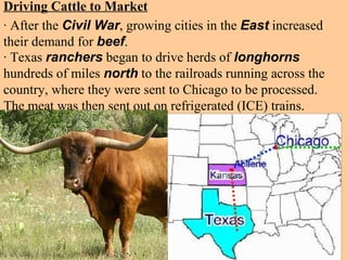 Cattle cowboys and railroads | PPT