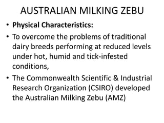 exotic Cattle breeds | PDF