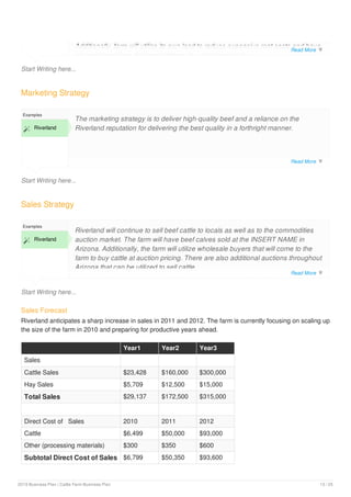 Cattle farm business plan example | PDF