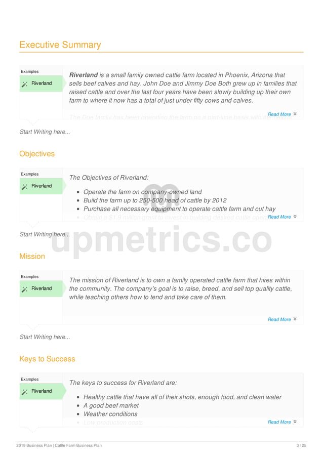 Cattle farm business plan example | PDF