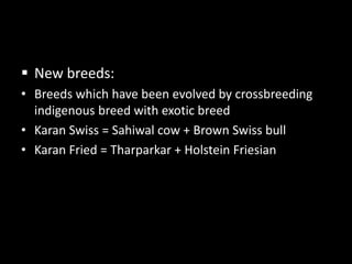 Cattle farming | PPTX