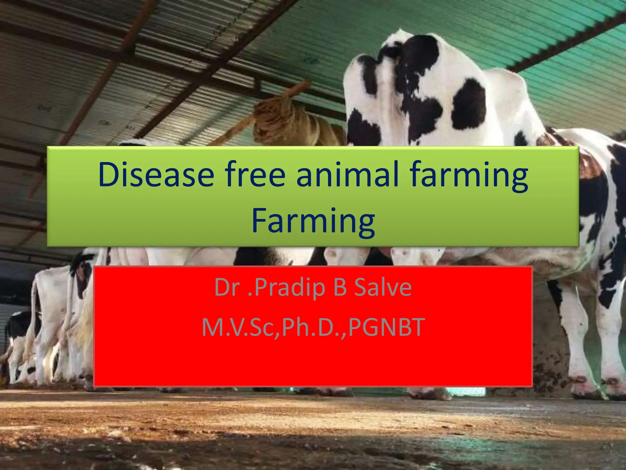 Cattle farming involves rearing and management of two types of animals ...