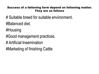 Cattle fattening | PPTX