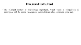 CATTLE FEED ppt.pptx