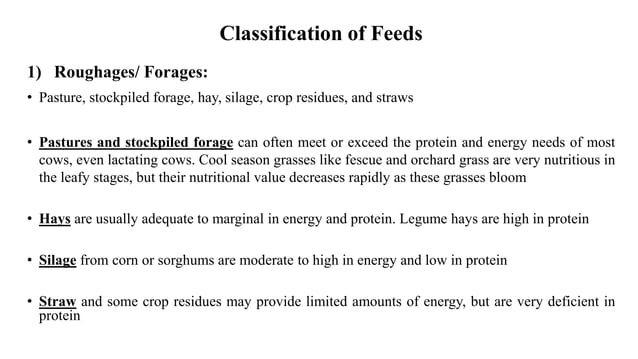 CATTLE FEED ppt.pptx