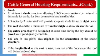 Cattle housing and shelter Management | PDF